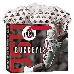 Turner Licensing Ohio State Buckeyes Medium Gift Bag GoGo, MULTI