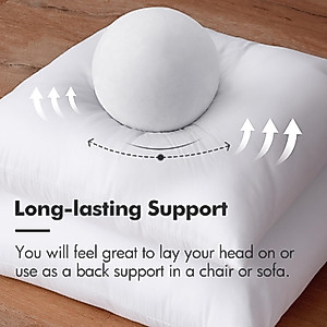 MIULEE Throw Pillow Insert Hypoallergenic Premium Pillow Stuffer Sham Rectangle for Decorative Cushion Bed Couch Sofa 12x20 Inch