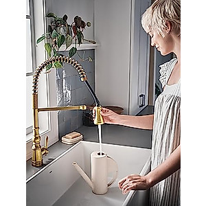 Moen WeymouthBrushed Gold One Handle Pre-Rinse Spring Farmhouse Pulldown Kitchen Faucet with Power Boost for a Faster Clean, S73104BG