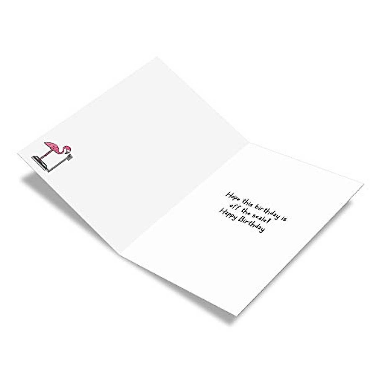 NobleWorks - 1 Funny Women's Birthday Card with Envelope - Cartoon Humor, Stationery Bday Celebration Card for Wife, Women - Flamingo Scale C3370BDG