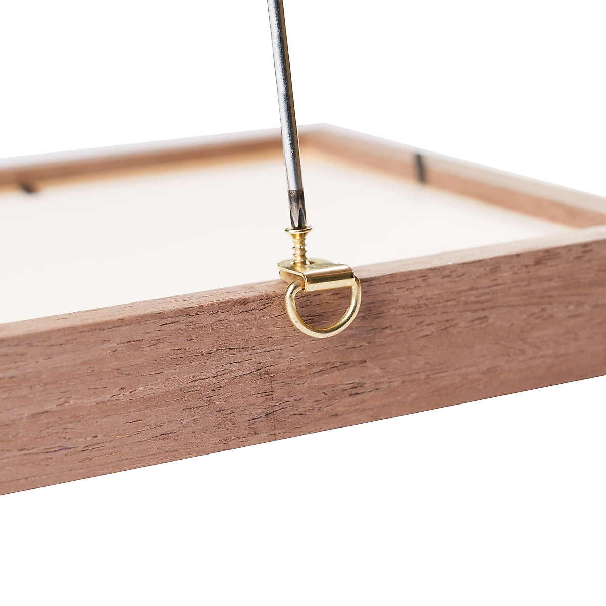 Amazon Basics Picture Hanging Assortment Kit, Brass, 220 Piece Set