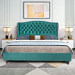 QHITTY Queen Size Bed Frame, Modern Velvet Button Tufted Upholstered Platform Bed with Nailhead Trim Headboard, Wood Slat Support, Easy Assembly, No Box Spring Needed