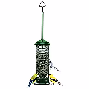 Squirrel Buster Mini Squirrel-proof Bird Feeder w/4 Metal Perches, 1.3lbs Seed Capacity, garden green