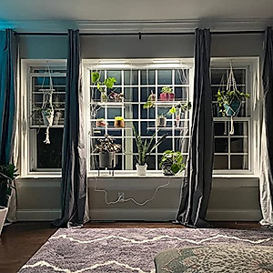 Auyeetek Acrylic Plant Wall Shelf Hanging Window Shelves for Plants Mount Stand Indoor Unique Planter Holder Succulent Herb Garden Artificial Christmas Decor Storage from Ceiling