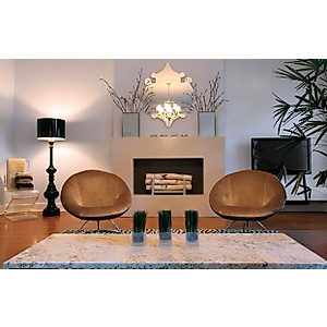 Wilson White Birch Fireplace Large Long Logs, 23-24" L x 3-4" D (Set of 5)