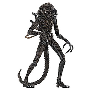 NECA - Alien- 7" Scale Action Figures - Ultimate Warrior - (1986) Brown Alien