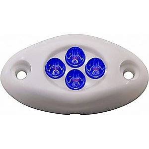 Innovative Lighting 4-Blue LED Screw Mount Courtesy Light with White Case