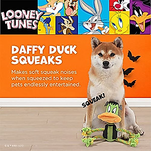 Looney Tunes for Pets Daffy Duck Plush Frankenstein Halloween Rope Pull Dog Toy | Daffy Duck Squeaky Dog Toy | Plush Fabric Dog Chew Toy Rope Toy for Dogs, 9 Inch, (FF16975)