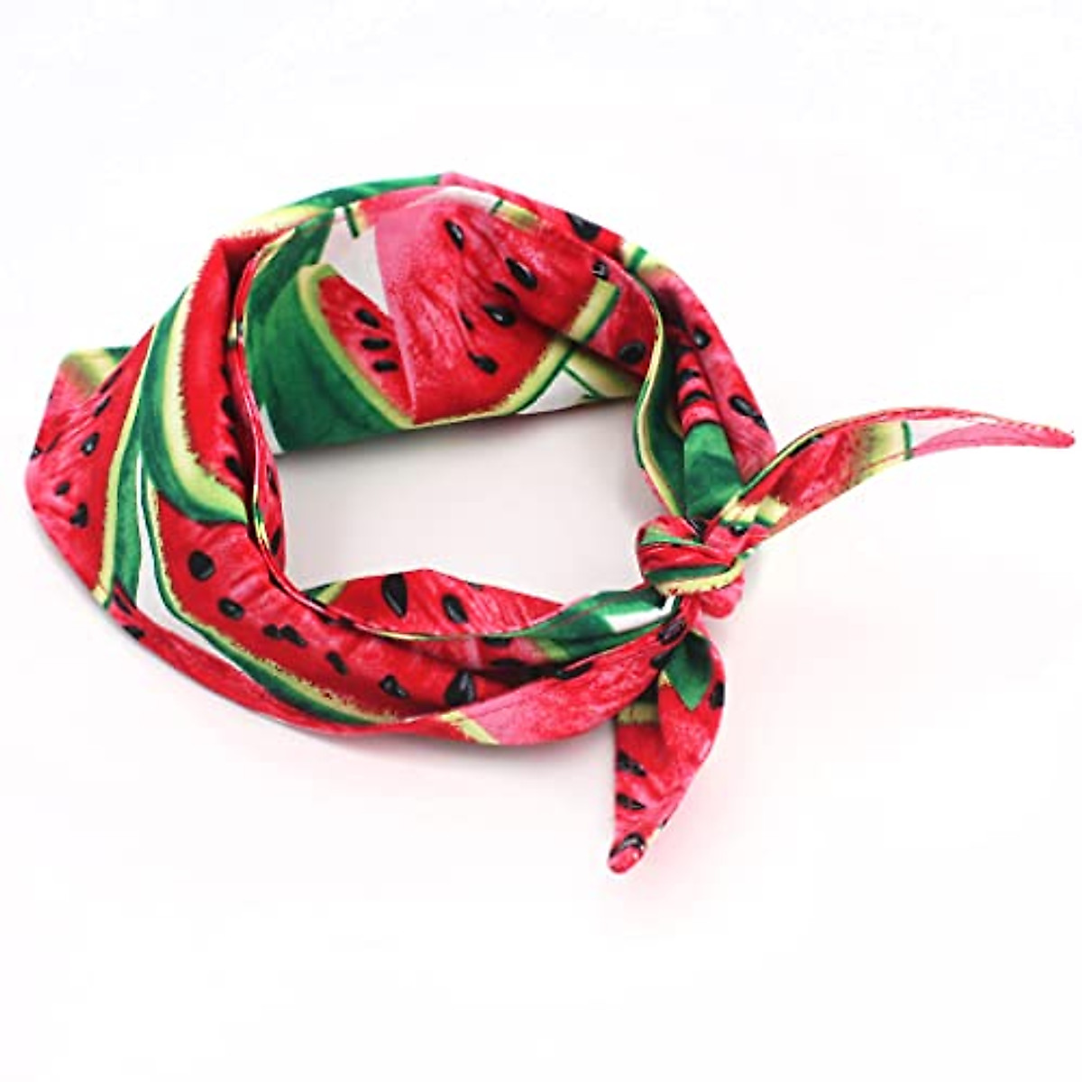 Red Watermelon Dog Bandana, Summer Bandana