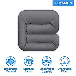 TEKAMON All Season Queen Comforter Winter Warm Summer Soft Quilted Down Alternative Duvet Insert Corner Tabs,Machine Washable Luxury Fluffy Reversible Collection for Hotel,Charcoal Grey