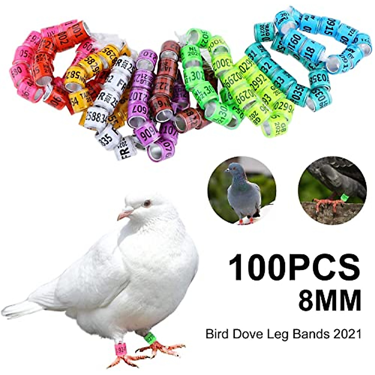 2023 dove rings, anillos para palomas, numbered 8mm bird band, Bird Leg Rings Bird Leg Plastic Pigeon Leg Bands Numbered Leg Rings with Training Identify Birds Foot Ring,Multicolor