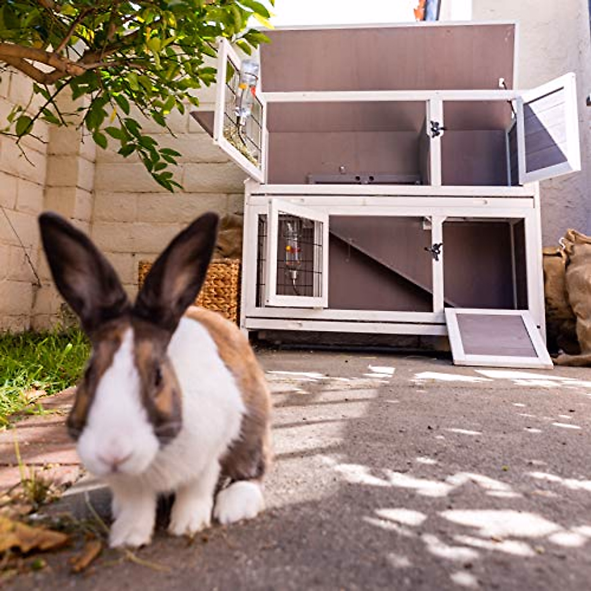 Be Mindful | Bunny Hutch for Rabbits and Other Small Animals