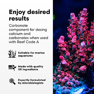 Brightwell Aquatics - Reef Code B - Balanced Calcium & Alkalinity System Water Conditioner - For All Saltwater Marine Fish & Reef Fish Tanks - Aquarium Water Treatments, 16.9 fl oz