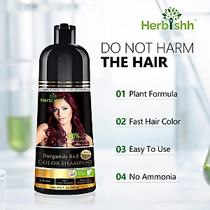 Combo Pack - Herbishh Color Shampoo for Gray Hair + Argan Intense Hair Mask - Long-lasting Dye, Colors in Minutes - Stimulates Dry, Frizzy Hair - 500 ml (Burgundy)