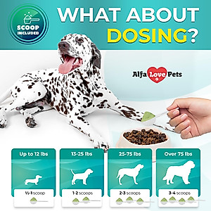 Dental Cleaning Powder ✿ Plaque Off Powder Dog ✿ Dog Teeth Cleaning Powder ✿ Plaque Remover for Teeth Dog ✿ Dog Dental Powder ✿ Dental Powder for Dogs Teeth ✿ Dog Tartar Remover for Teeth ✿ 100 G