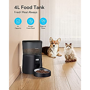 Automatic Cat Feeders,Katalic Clog-Free 4L Cat Food Dispenser with Sliding Lock Lid Storage Timed Feeder for Cat and Dogs with Voice Recorder, Programmable Meal & Portion Automatic Feeder (Gray black)