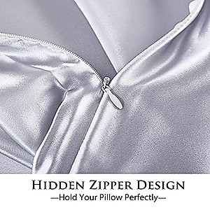 Silk Pillowcase 2 Pack for Hair and Skin, Ravmix Mulberry Silk Pillow Cases Standard Size 20×26inches Set of 2 Cooling Silk Pillow Covers with Hidden Zipper, Silver Grey