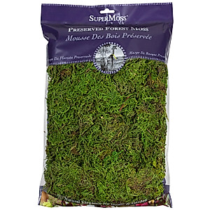 SuperMoss (25322) Forest Moss Preserved, Fresh Green, 8oz