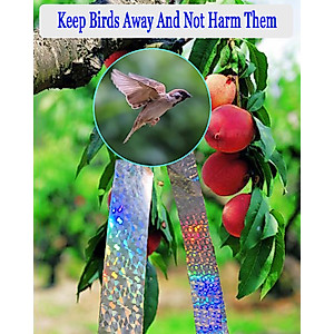 Whtawtaw 2 Rolls 328 FT Bird Scare Tape Ribbon, Deterrent Visual Audible Reflective Tape to Keep Away Birds, Holographic Double Sided Flash Tape for Outdoor, Garden, Balcony
