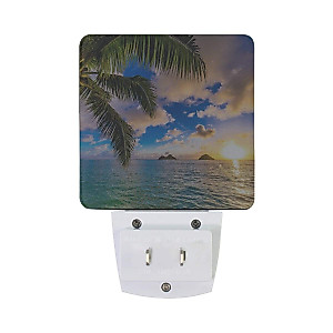 JOYPRINT Led Night Light Tropical Hawaii Palm Tree Ocean Sea Sunset, Auto Senor Dusk to Dawn Night Light Plug in for Kids Baby Girls Boys Adults Room