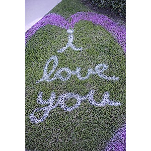 Testors Spray Chalk, White, 6 Ounce (Pack of 1), 307587