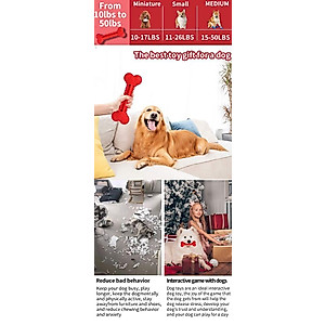 Patchy's Pets Puppy and Small Dog Toothbrush Dental Chew Toy Bone, Teeth Cleaning, Teething, Flexible Durable Rubber Dog Toys, Small Treat Holder, Improved Material (Light Pink)