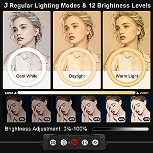10.2" Selfie Ring Light with Stand and Phone Holder, Desk Tripod, 29 RGB Lighting Modes, Remote for iPhone &Android Camera. LED Halo Light for Photo, Video Recording, TikTok. Circle Ringlight Dimmable