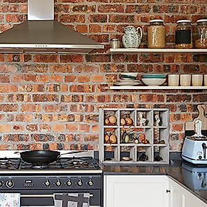 Crystal Holder Display Shelf - Rustic Wall Mounted Shelf for Farmhouse Décor with Chicken Wire for Spices, Rocks, Countertop Organizer, Shadow Box (Rustic White)