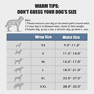 wegreeco Washable Male Dog Belly Band (Stylish Pattern)- Pack of 3 - Washable Male Dog Belly Wrap, Dog Diapers Male (Funny Dogs, Medium)