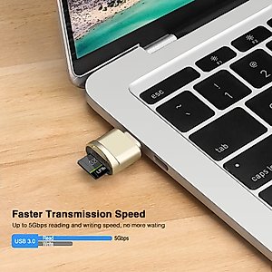 Type C TF Card/Memory Card Reader Adapter with Keychain, Leizhan USB C to Micro SD SDHC SDXC OTG Reader, Compatible for Mac Windows Lixus Samsung Galaxy Note 20 S20