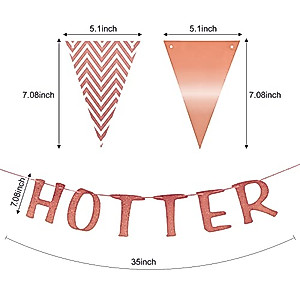 Older Wiser Hotter Banner, Funny Birthday Party Decorations for Adults, Rose Gold Glitter Party Supplies for Women, 30th 40th 50th 60th 70th 80th Bday Triangle Flags Sign Decor