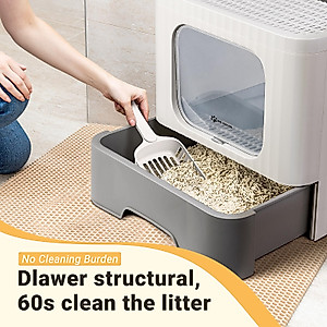 MIU COLOR Enclosed Cat Litter Box, Large Covered Kitty Litter Box with Lid, Big Top Entry Deep Tray, Anti-Splashing Easy to Clean, 20.3 x 15.6 x 15 Inches