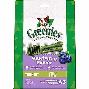 Gn Flavors Blueberry 12oz Teenie 43ct