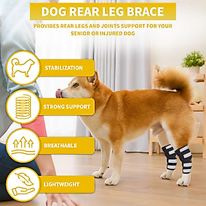 AGON Dog Hock Brace Supportive Pair Hock Joint Brace with Metal Strings and Reflective Wraps Compression Straps Canine Back Leg Protects Wounds. Heals Injuries Sprains Loss Stability by Arthritis