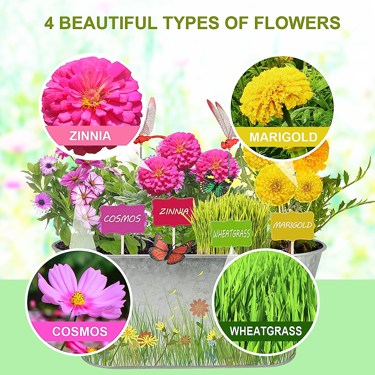 Paint & Plant Flower Growing Kit for Kids - Best Birthday Crafts Gifts for Girls&Boys Age 5, 6, 7, 8-12 Year Old Girl Christmas Gift - Childrens Gardening Kits, Art Crafts Projects Toys for Ages4-12