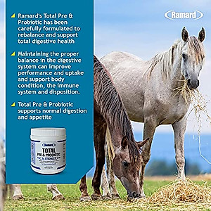 Ramard Total Prebiotic & Probiotic Equine Formula - Natural Ingredients for Foals & Adult Horses, Healthy Gut Flora & Optimal Nutrient Absorption - The Ultimate Digestive Supplement - 8.5 oz Jar