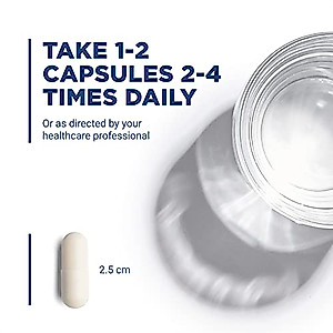 Vital Nutrients Buffered Vitamin C 500mg | Vegan Gentle Vitamin C for Sensitive Individuals* | Immune Support Supplement* | Gluten, Dairy and Soy Free | Non-GMO | 220 Capsules