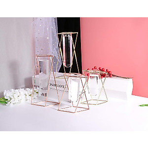 Aoderun Glass Flower Vase with Metal Stand Modern Geometry Desktop Glass Planter Indoor Hydroponics Plants for Home Office Garden Wedding Decor (Gold, M)