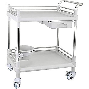 2-Layer Stainless Steel Medical cart, Beauty cart, Musical Instrument cart with Drawers and rotatable Dirt Bucket (Size : Small)