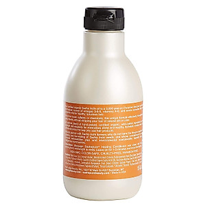 SASHAPURE Healing Conditioner with Sacha Inchi Oil - Sulfate-Free, Color Safe, Hydrate & Revitalize Damaged Hair, 8.5 fl. oz