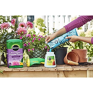Miracle-Gro Water Soluble Bloom Booster Flower Food - Big Blooms for Vibrant Color, 5.5 lb.