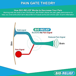 BIO-Relief Pain Roll On w 10% Menthol & Arnica | Highly Effective, Cool & Topical Pain Relief Extra Strength for Arthritis, Muscle, Joint, & Back - Easy Roll On Maximum Strength, Made in USA