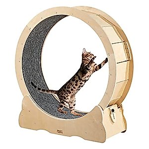 SMART HACKS Cat Wheel, Cat Exercise Wheel, Cat Wheels for Indoor Cats, Cat Treadmill, Cat Running Wheel, Sturdy Quiet 39.4" H for Large Cats (Wooden)