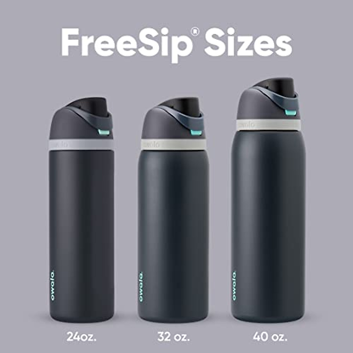 Owala FreeSip Insulated Stainless Steel Water Bottle with Straw for Sports and Travel, BPA-Free, 24oz, Foggy Tide