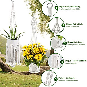 SFENNGPET Macrame Plant Hangers, 6Pack Hanging Planters for Indoor Plants w/ 6 Set Hangers Kit Handmade Macromay Plant Hangers Indoor Flower Pots Holder Stand for Boho Home Décor