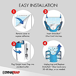 DynaTrap DT3009-1003S DT3009-100S Flylight Indoor Insect, Fly Trap-Black, White
