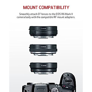 Canon EOS R6 Mark II RF24-105mm F4 L is USM KIT