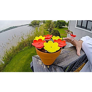 ZUMMR Hummingbird Ring Feeder (Red) - Hand Feed Hummingbirds Right in Your Backyard. Get up Close and Personal with Nature. Proudly Made in The U.S.A. - The Original