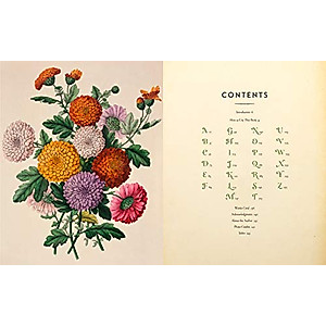 The Complete Language of Flowers: A Definitive and Illustrated History (Volume 3) (Complete Illustrated Encyclopedia, 3)