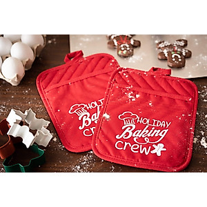 Christmas Gift for Mom Grandma, Potholder with Pocket, Holiday Baking Gift, Cookie Pot Holder Set, Red Oven Mitt, Pack of 2